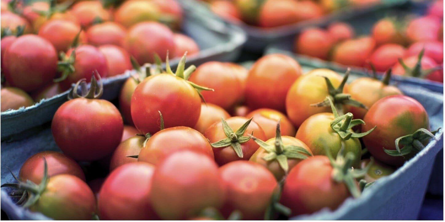 National Nutrition Month: Fuel for the Future - Biofortis Research